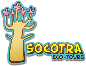 Flights to Socotra: Your Guide to Getting There
