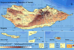 Socotra maps to download :: Socotra Eco-Tours